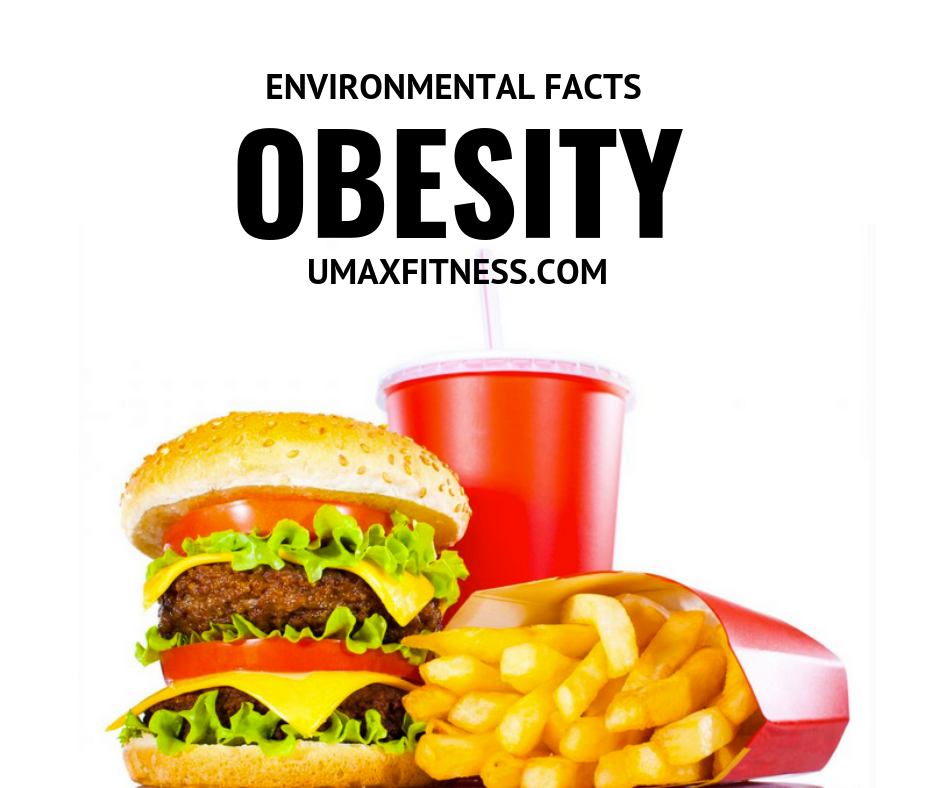 Obesity The Environmental Facts | Umaxfitness